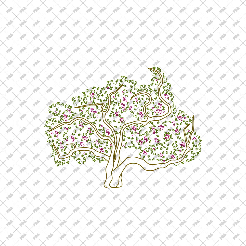 CAD, Vector Fruit Trees in Color and B/W