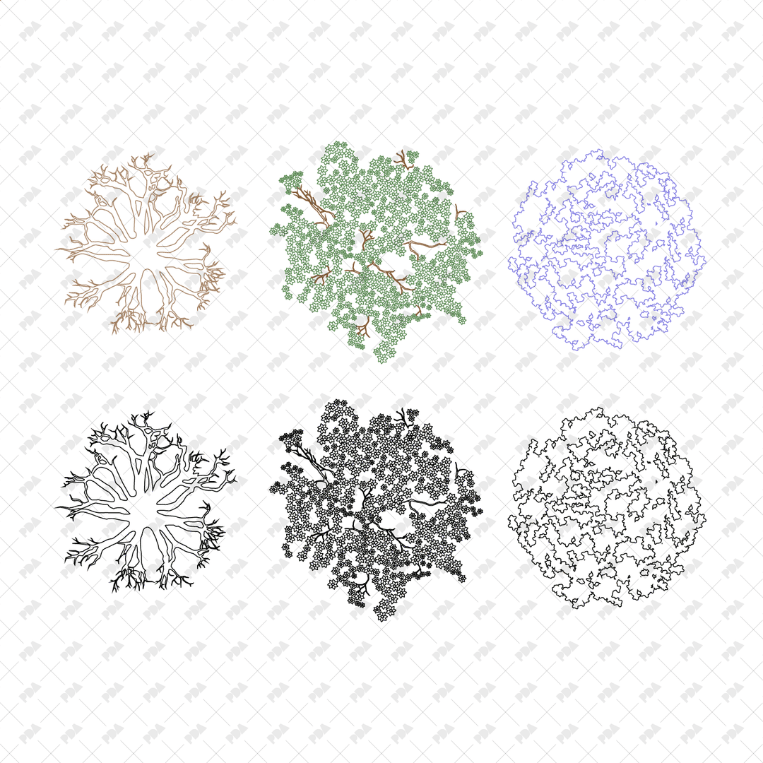 Vector, PNG Colorful Desert Plants in Top, Side View