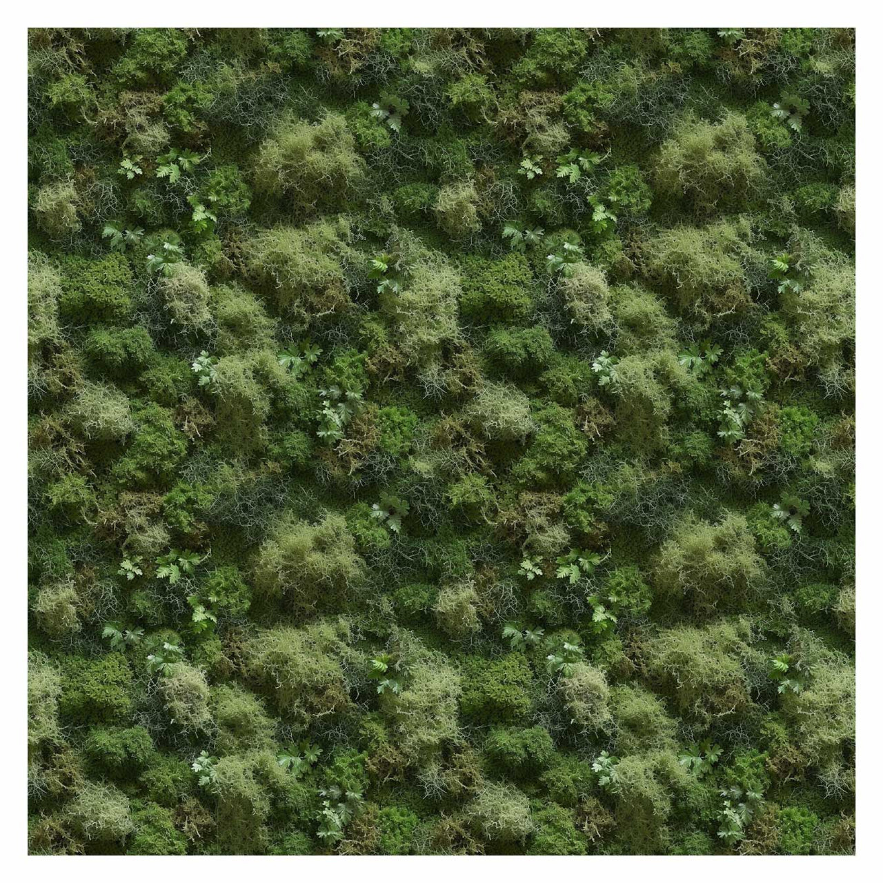 Pattern Library - Seamless Moss Textures