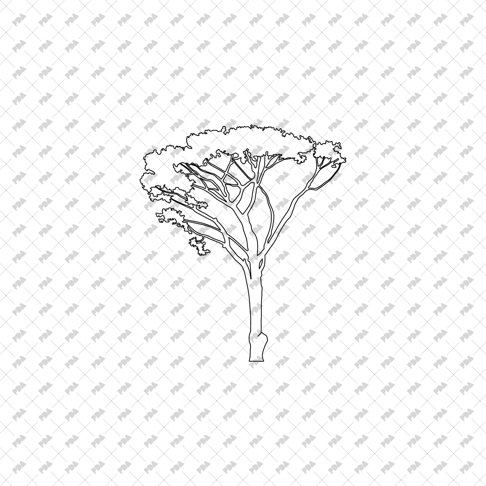 CAD, Vector Trees Set (Top and Side View) | Post Digital Architecture