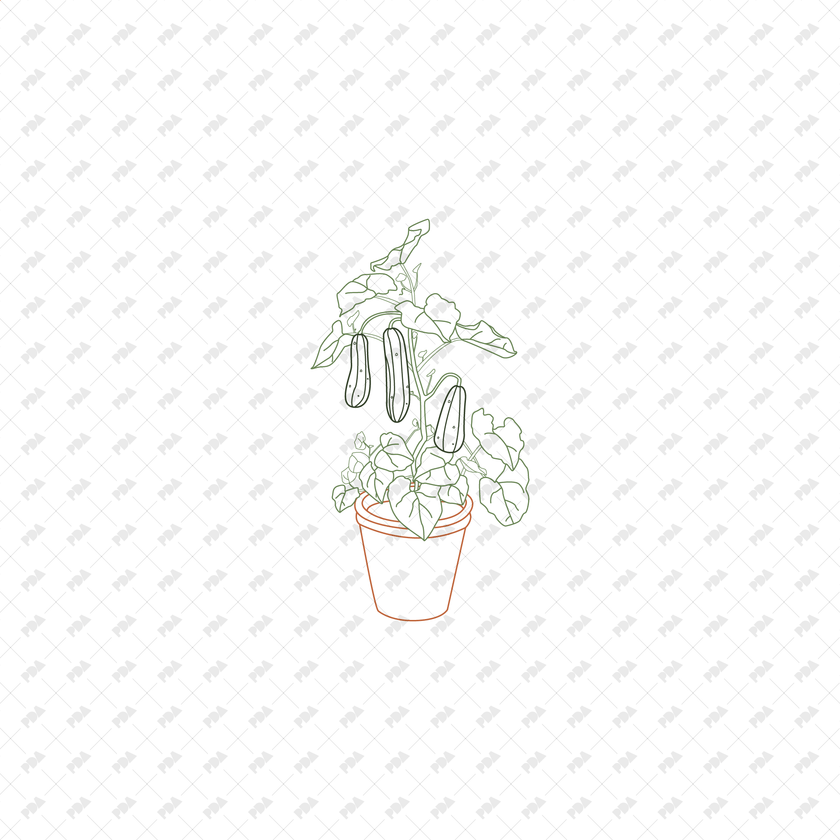 CAD, Vector Potted Fruit Trees and Plants (In color and B/W)