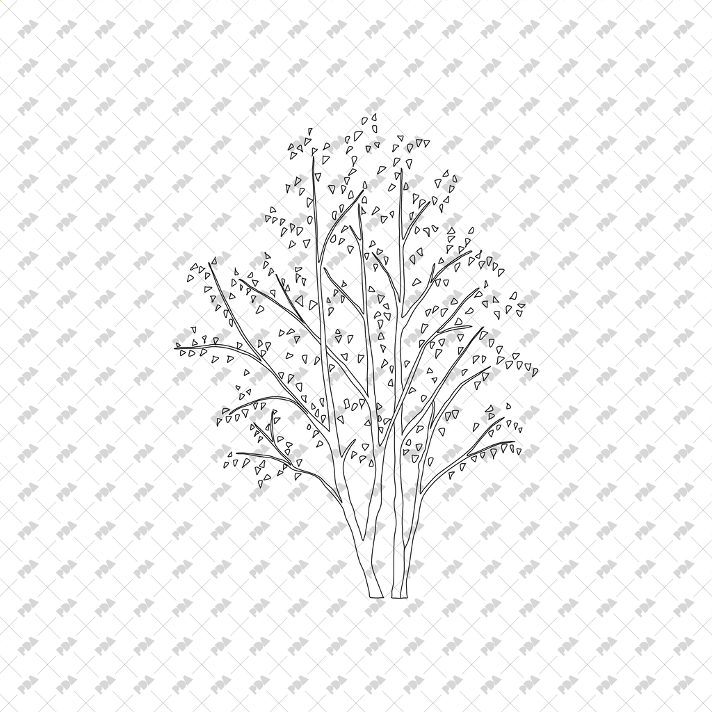 CAD, Vector Trees and Plants in Top and Side View Set