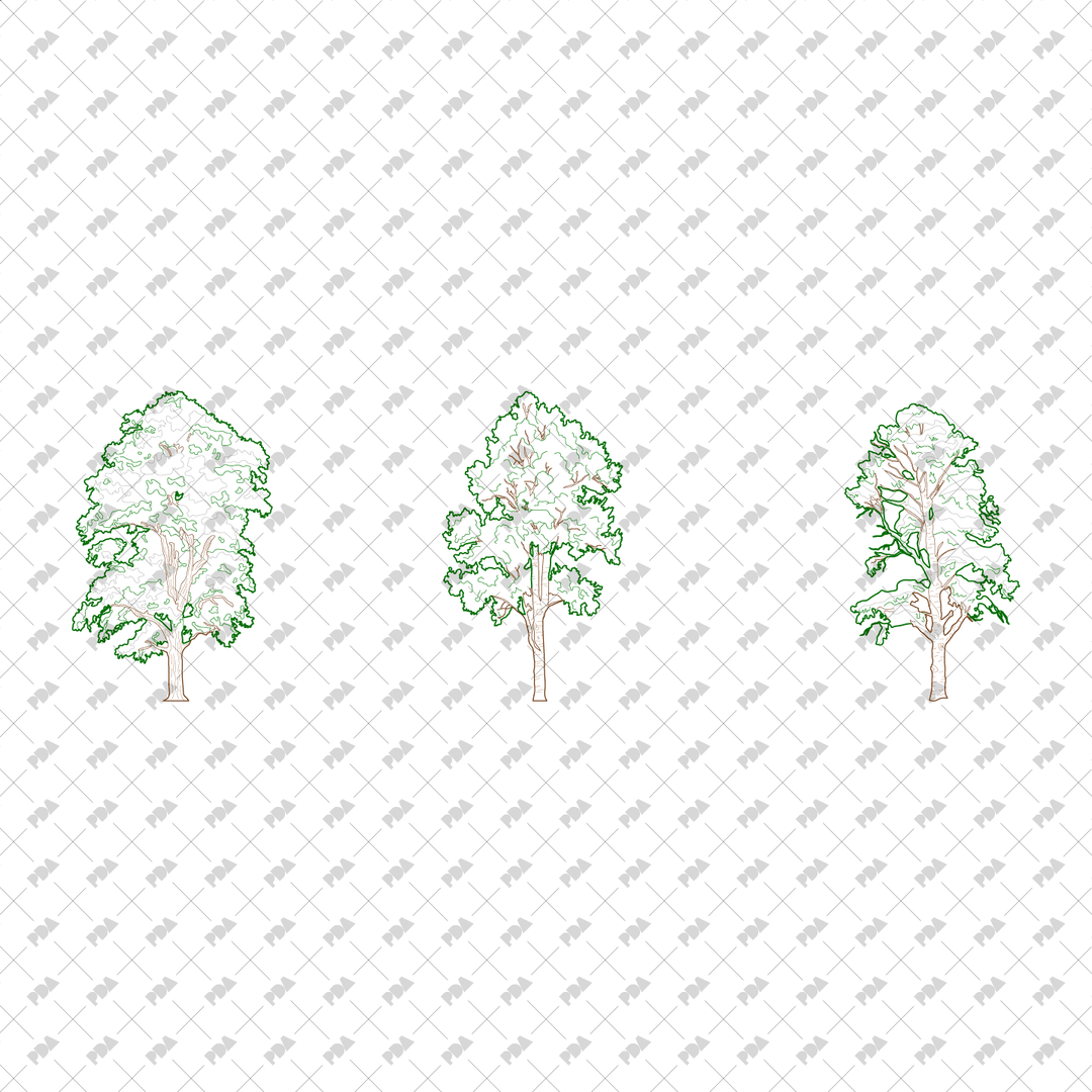CAD, Vector, PNG Winter Trees in Color and B/W