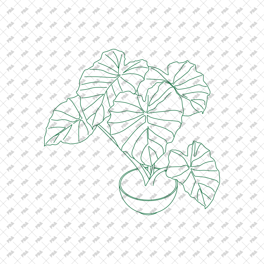 CAD, Vector Isometric Leafy Plants in Planters