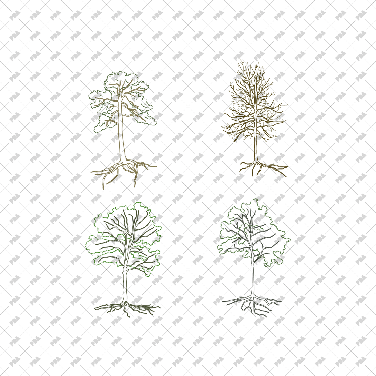 CAO, arbres vectoriels avec racines en couleur et N/B