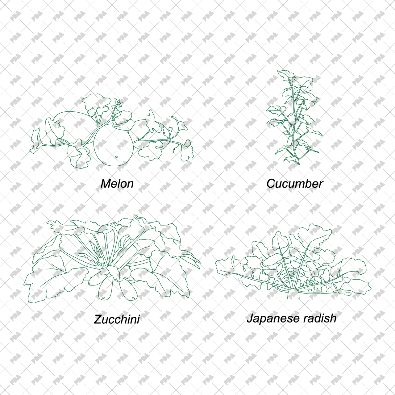 CAD Vector Vegetable Plants Multi-Pack – Post Digital Architecture