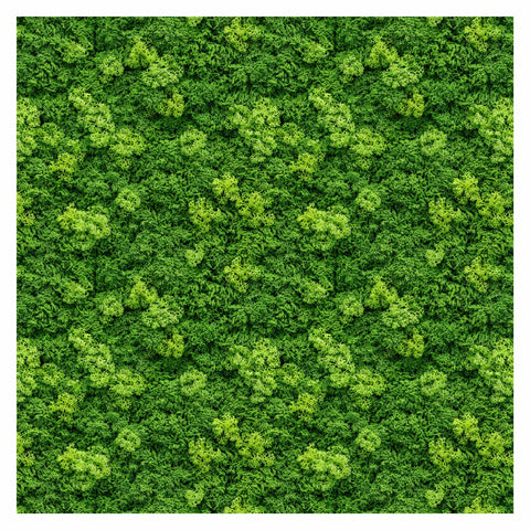 Bibliothèque de motifs - Textures de mousse sans couture