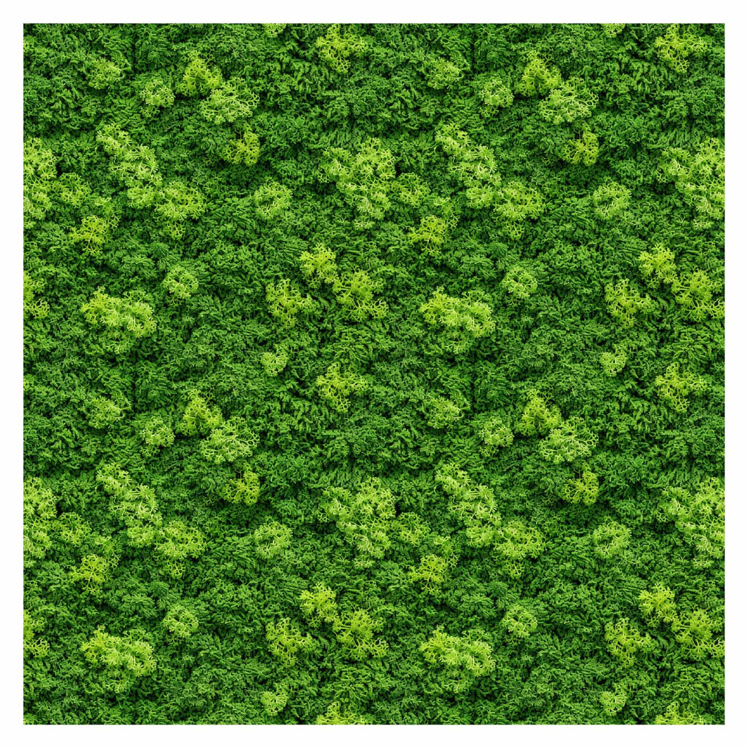 Pattern Library - Seamless Moss Textures | Post Digital Architecture