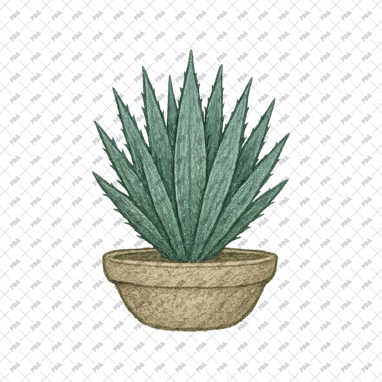 PNG Rough Hand-Drawn Plant Cutouts
