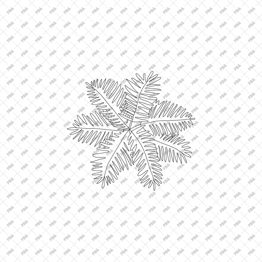 CAD, Vector Trees and Plants in Top and Side View Set