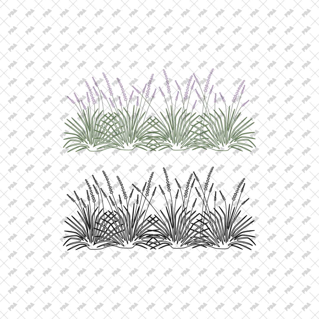 CAD, Vector Grass Beds in Color and B/W | Post Digital Architecture