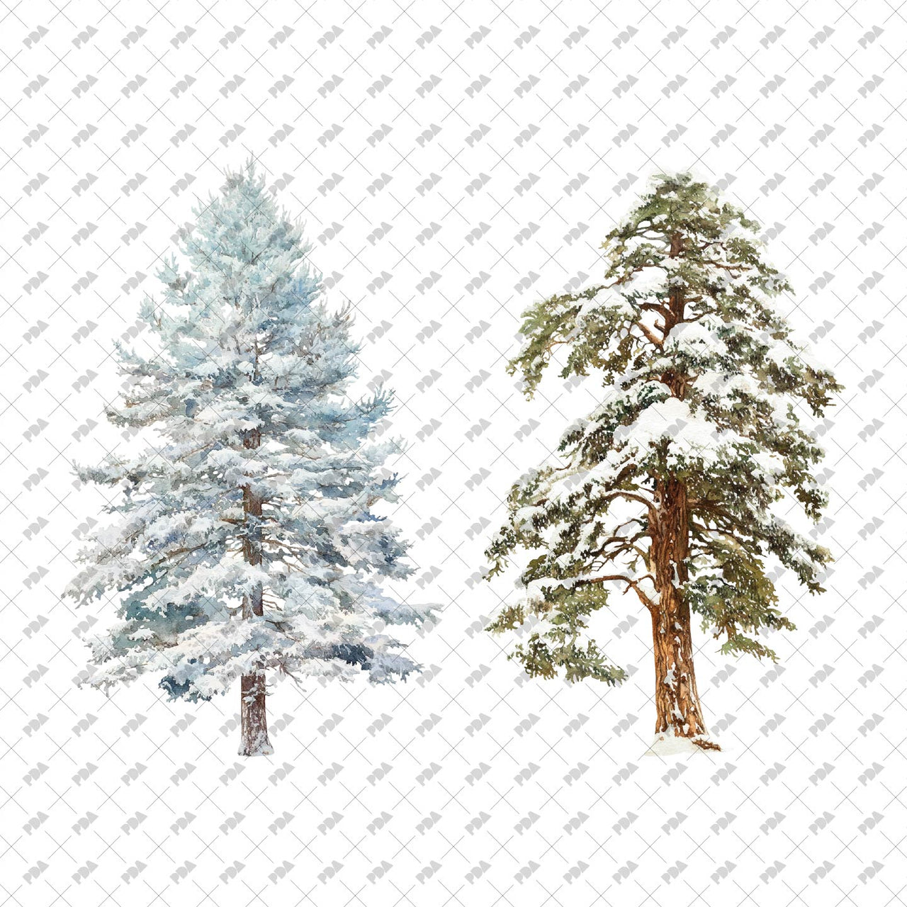 PNG Winter Trees | Post Digital Architecture