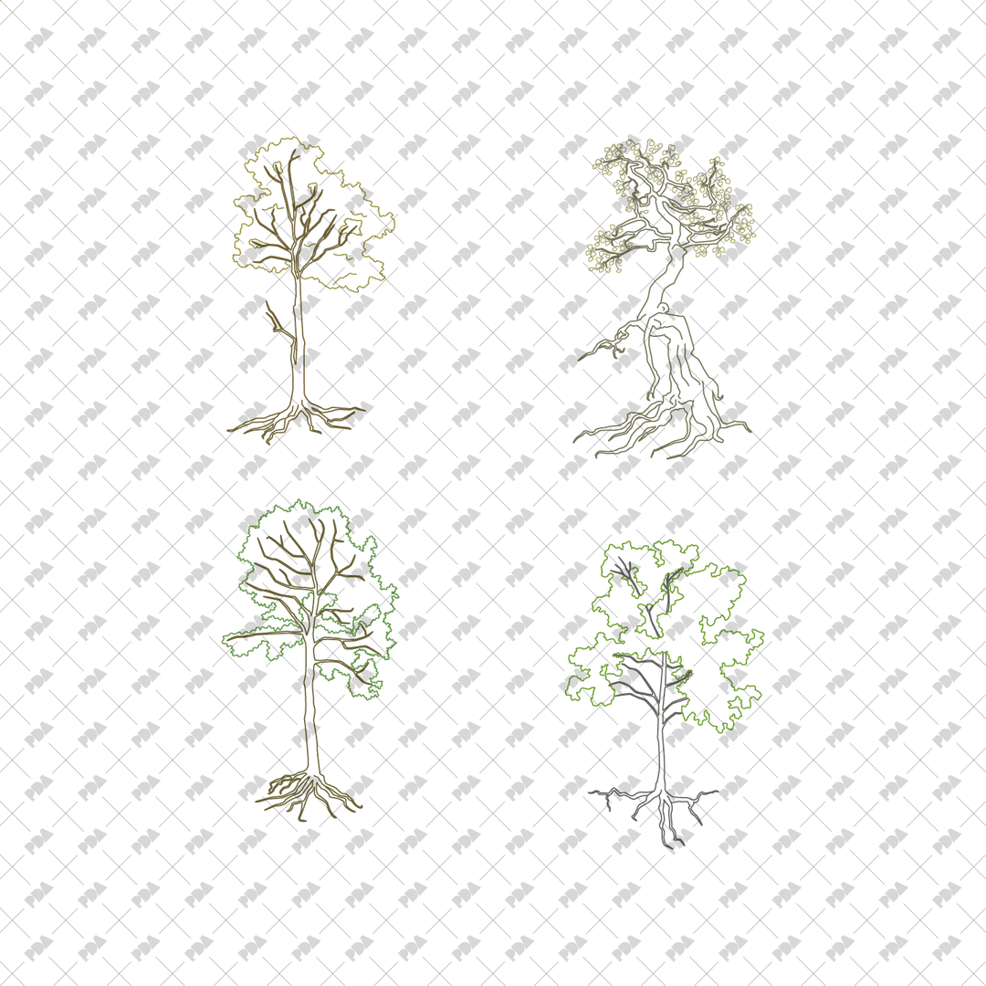 CAD, Vector Trees with Roots in Color and B/W