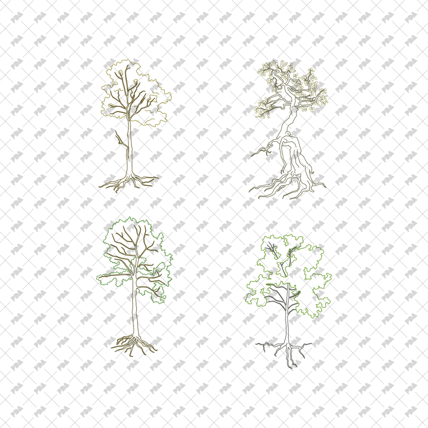CAD, Vector Trees with Roots in Color and B/W