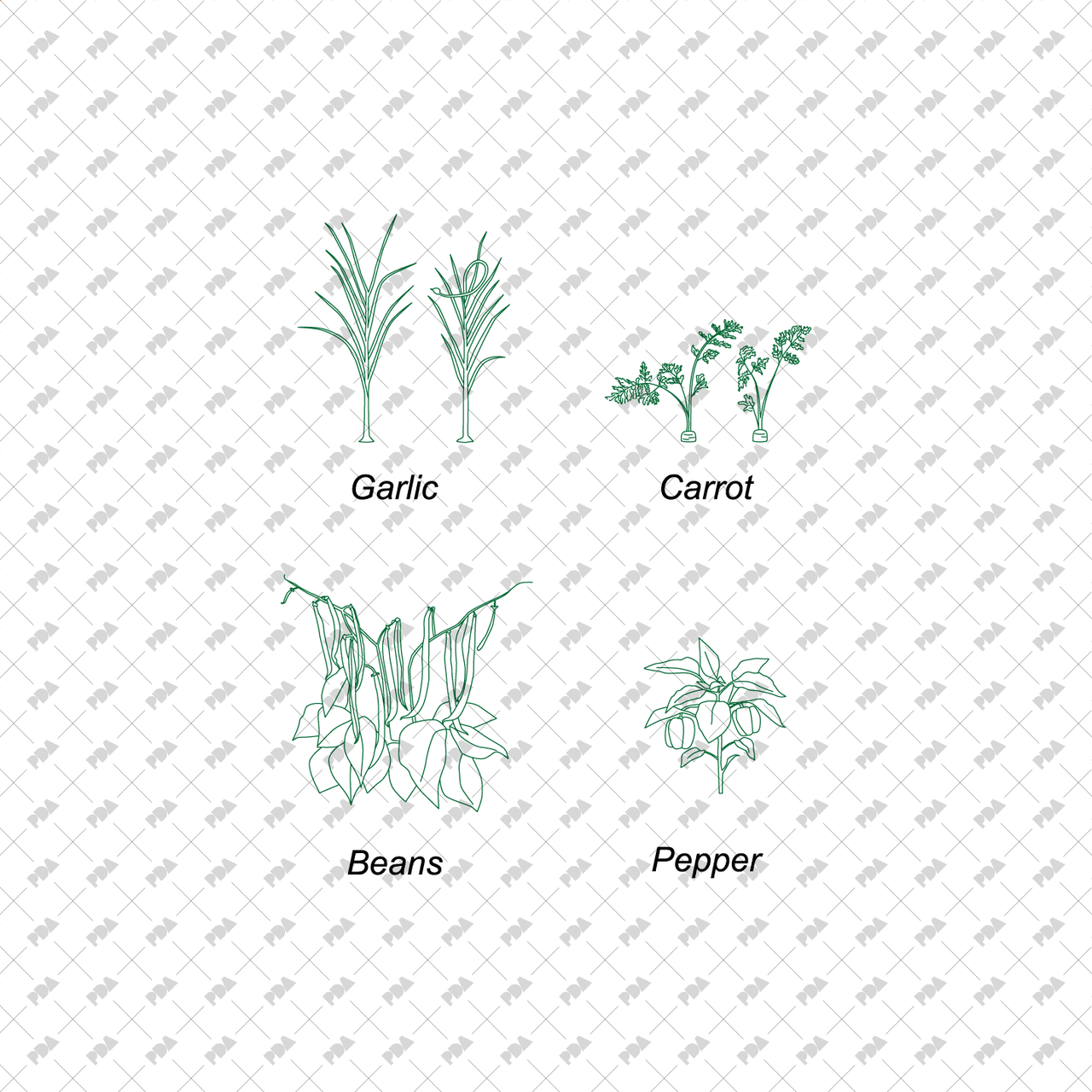CAD Vector Vegetable Plants Multi-Pack