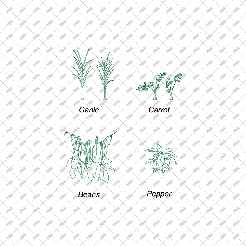 CAD Vector Vegetable Plants Multi-Pack