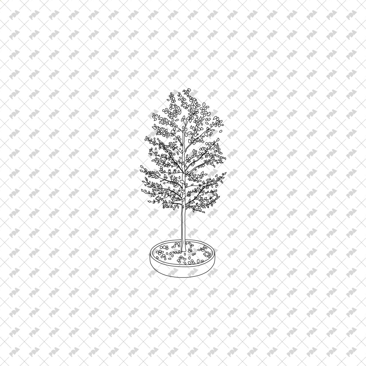 CAD, Vector, PNG Isometric Trees in Planters
