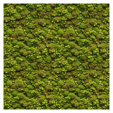 Bibliothèque de motifs - Textures de mousse sans couture