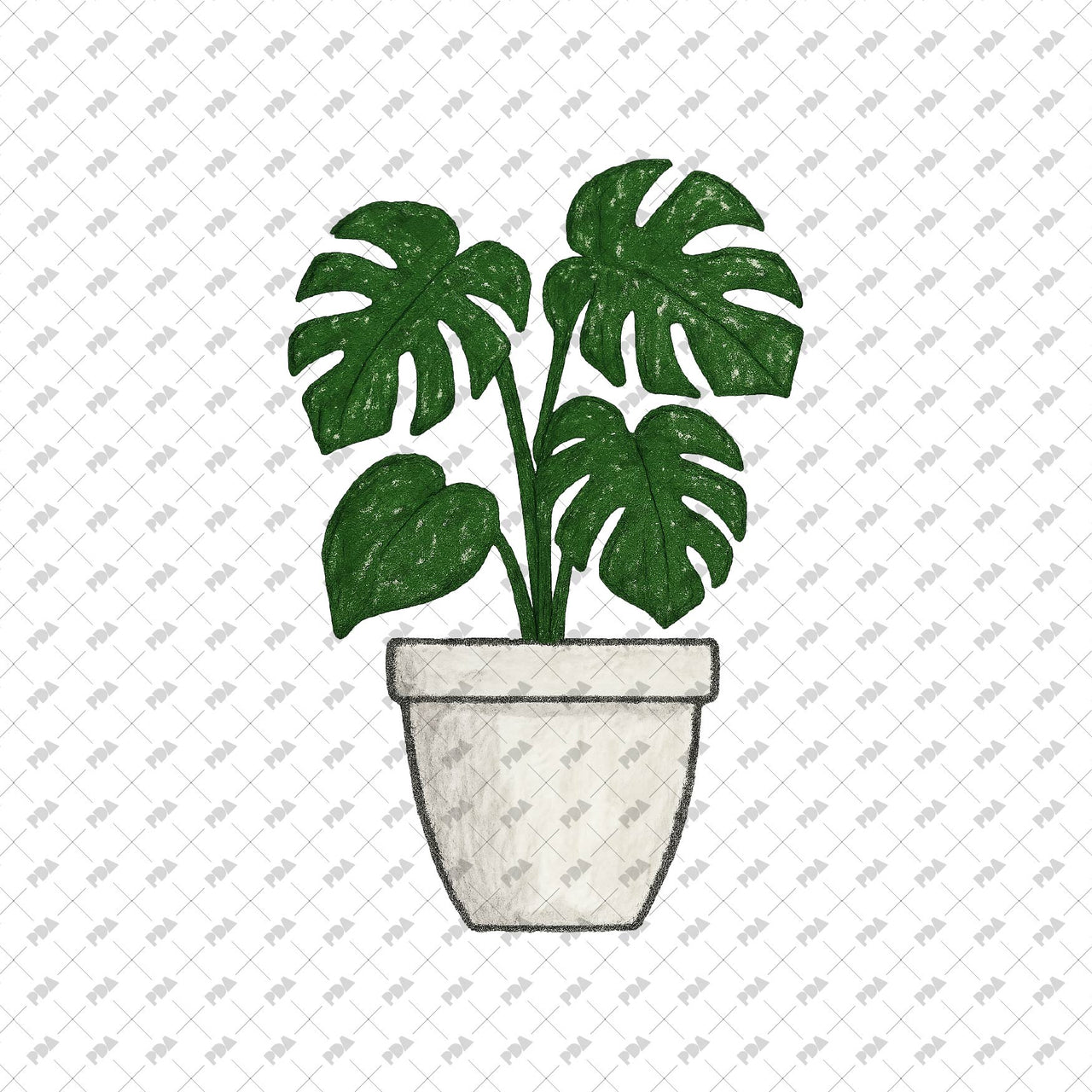 PNG Rough Hand-Drawn Plant Cutouts