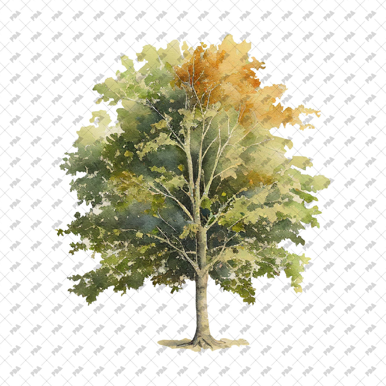 PNG Watercolor Trees and Plants Set (Front view)