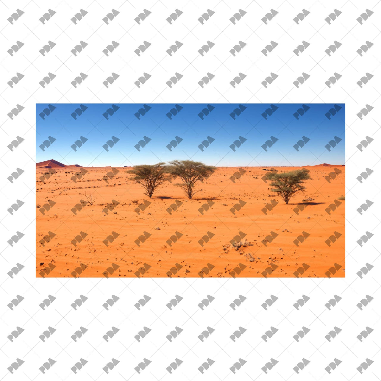 Desert Backgrounds for Collages & Renderings