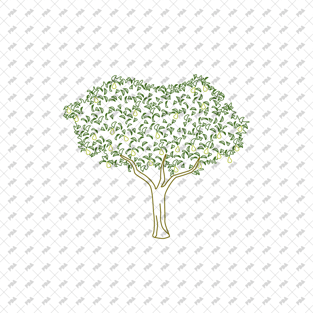 CAD, Vector Fruit Trees in Color and B/W