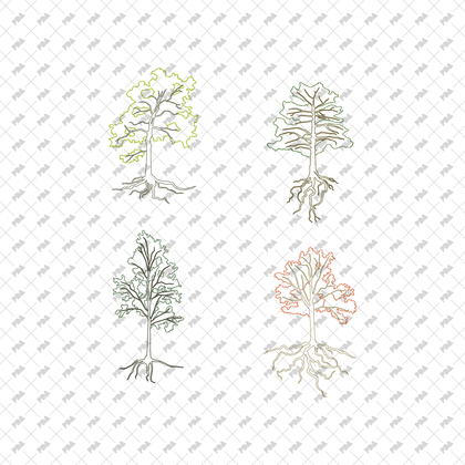 CAD, Vector Trees with Roots in Color and B/W | Post Digital Architecture