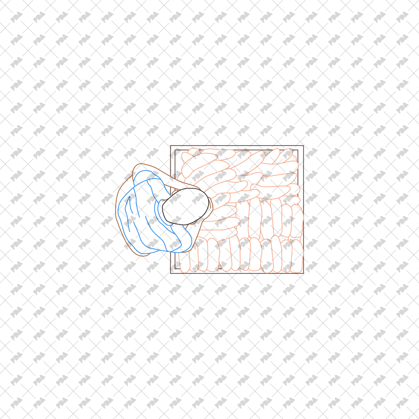 CAD, Vector, PNG Supermarket Items – Top View in Color & B/W