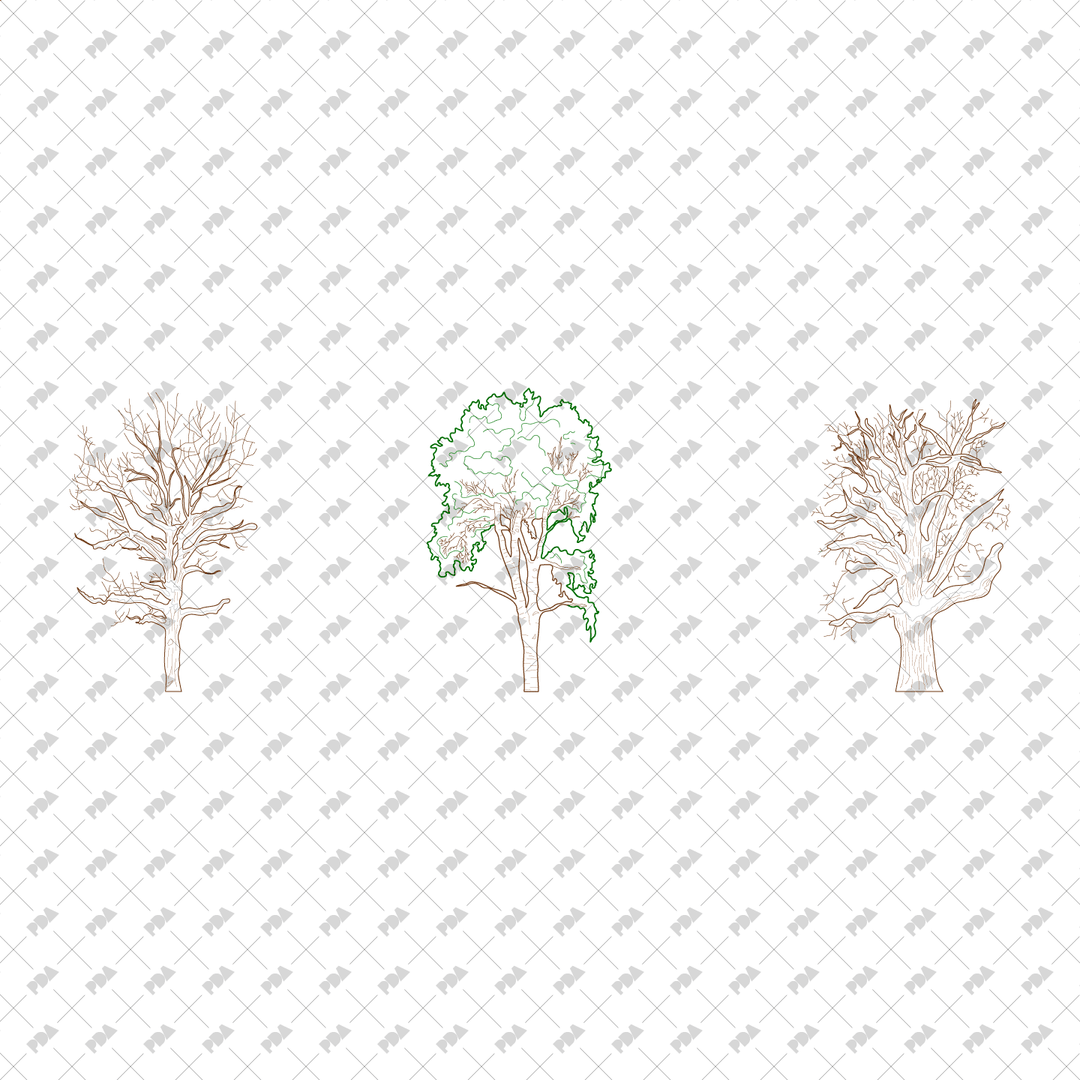 CAD, Vector, PNG Winter Trees in Color and B/W