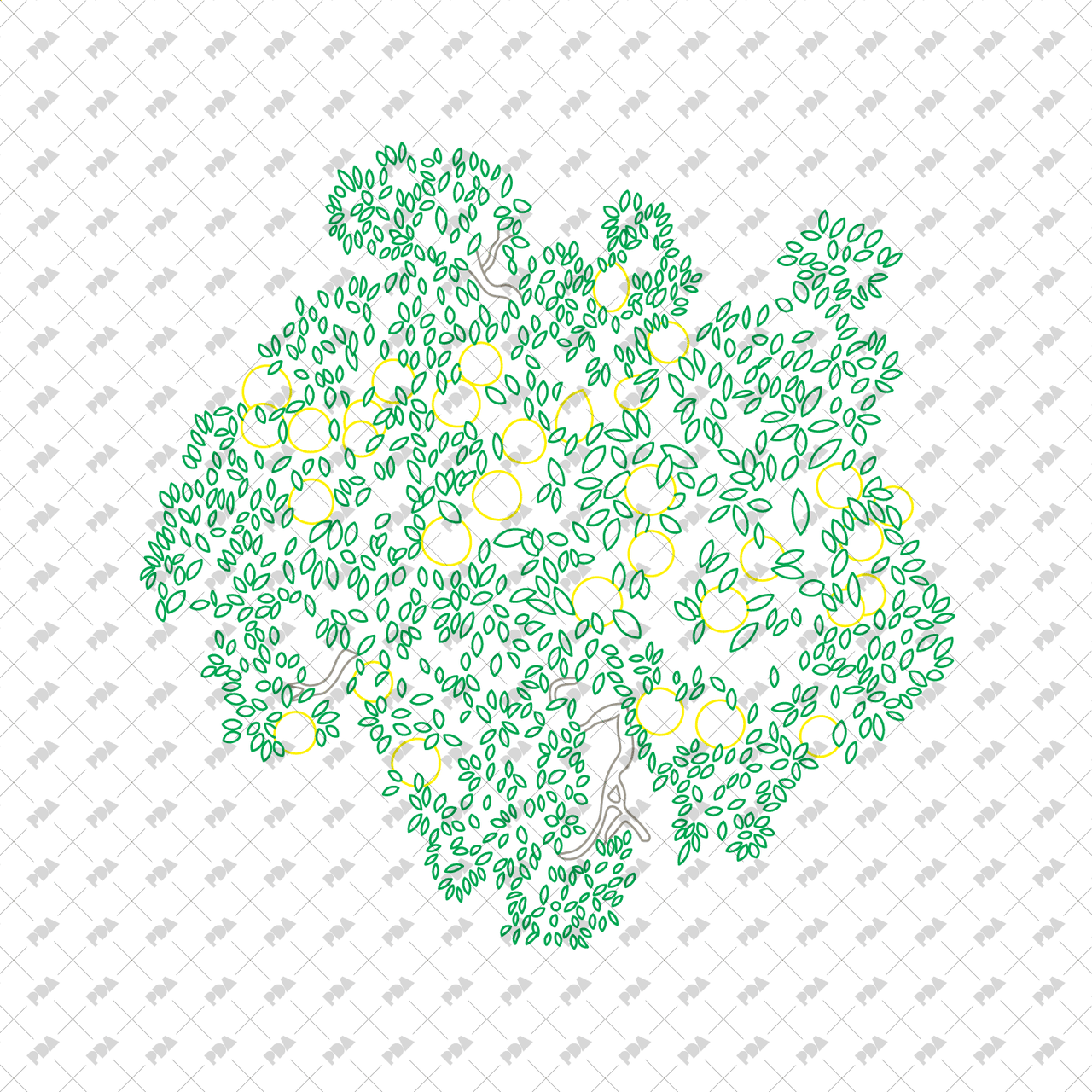 CAD, Vector, PNG Fruit Trees in Color and B/W (Top View)