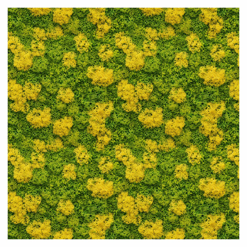 Pattern Library - Seamless Moss Textures | Post Digital Architecture