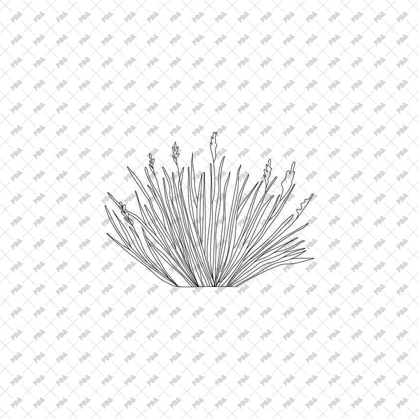 CAD, Vector Trees and Plants in Top and Side View Set