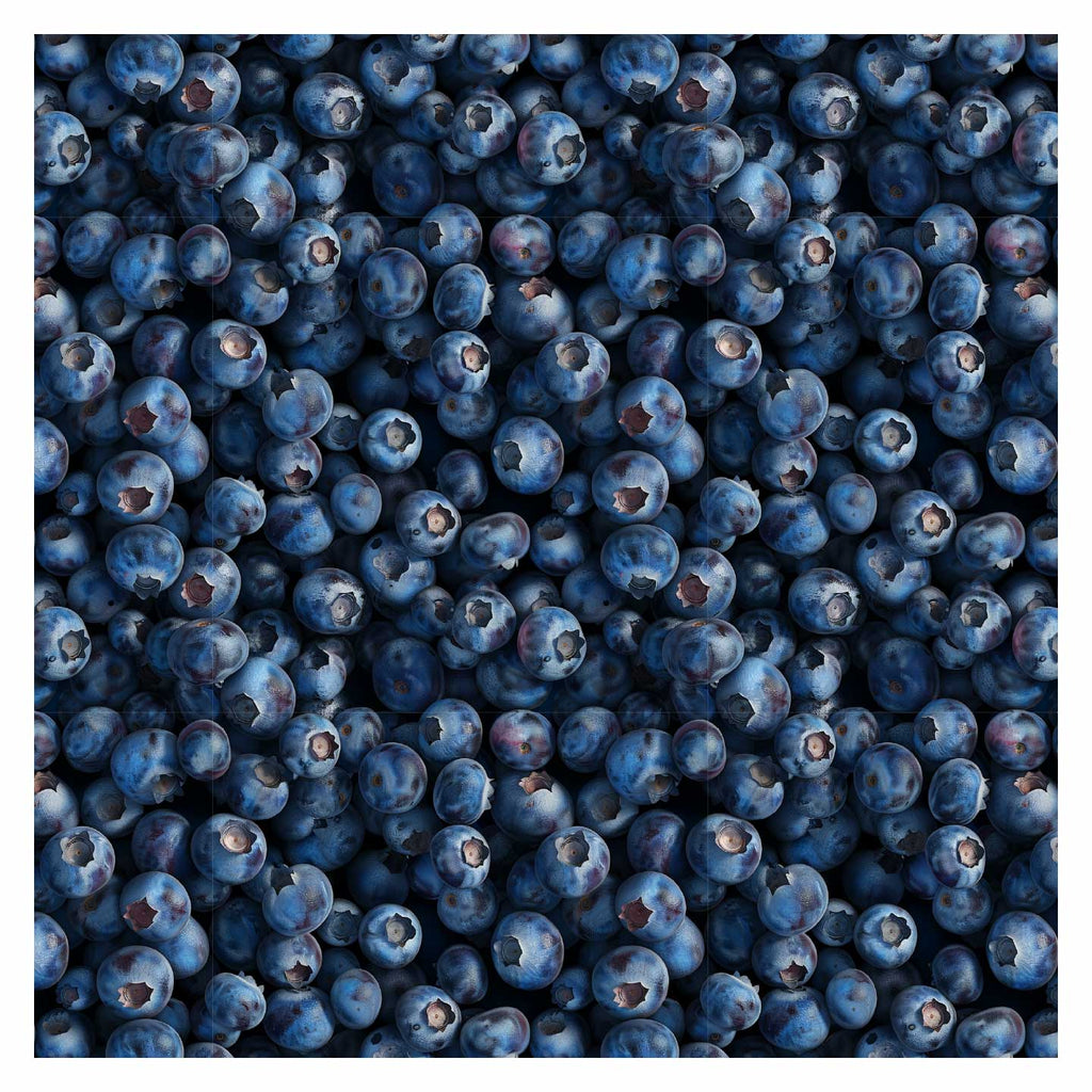 Pattern Library - Berries Textures (In top view) | Post Digital ...