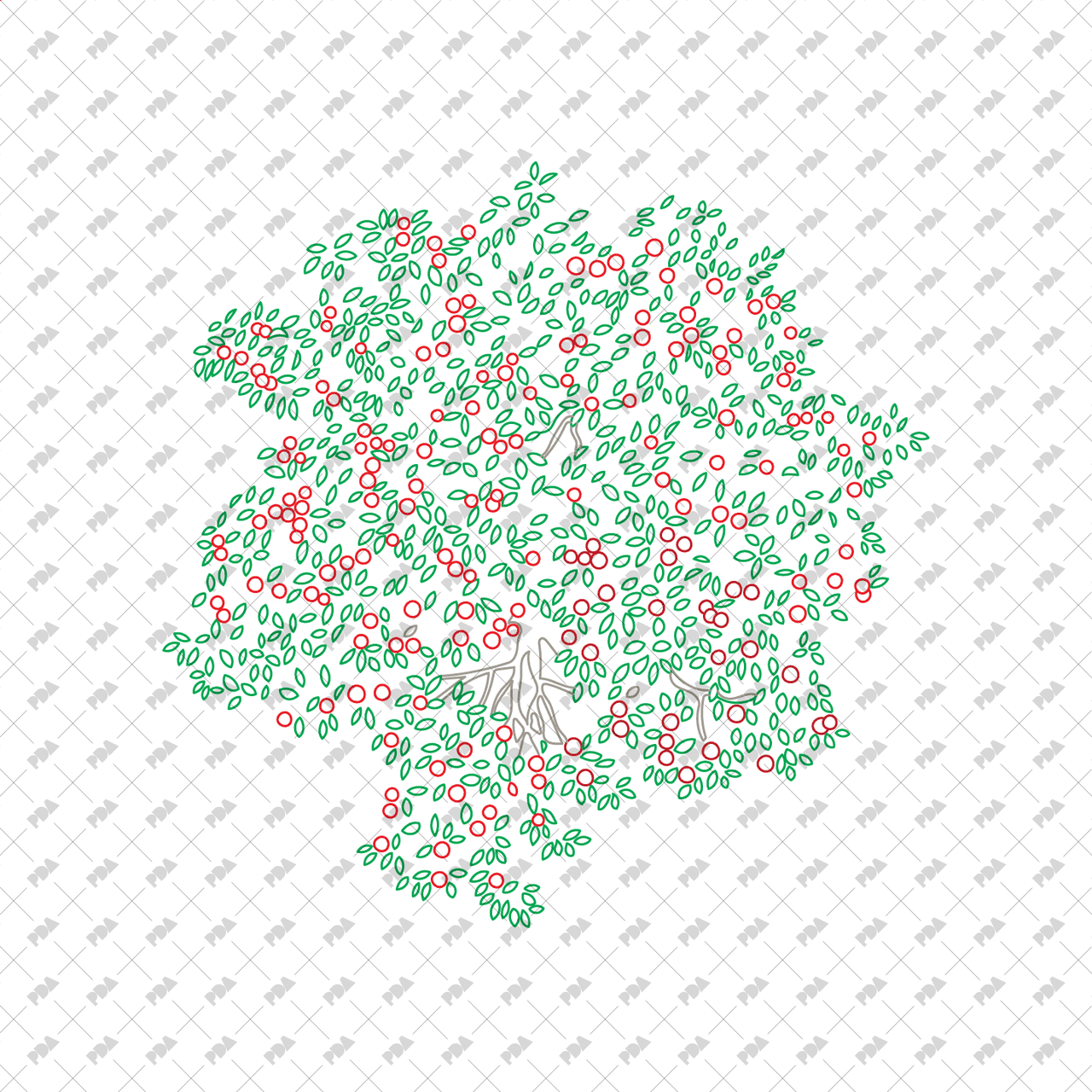CAD, Vector, PNG Fruit Trees in Color and B/W (Top View)