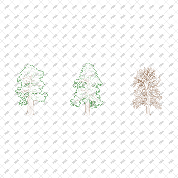CAD, Vector, PNG Winter Trees in Color and B/W