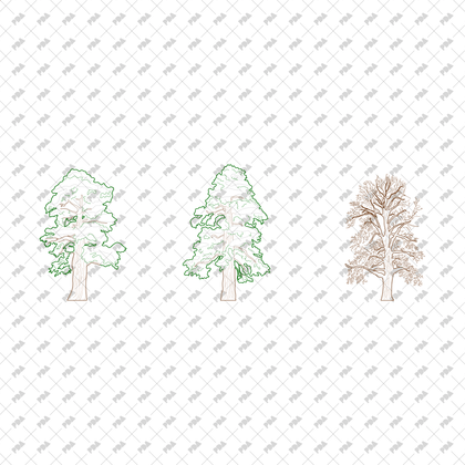 CAD, Vector, PNG Winter Trees in Color and B/W