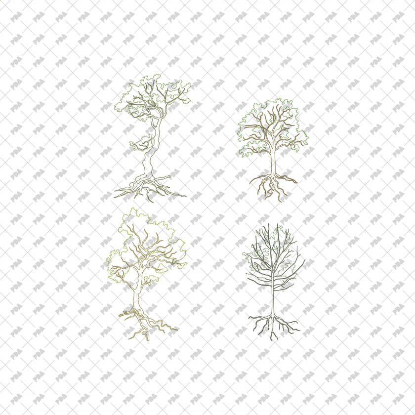 CAD, Vector Trees with Roots in Color and B/W