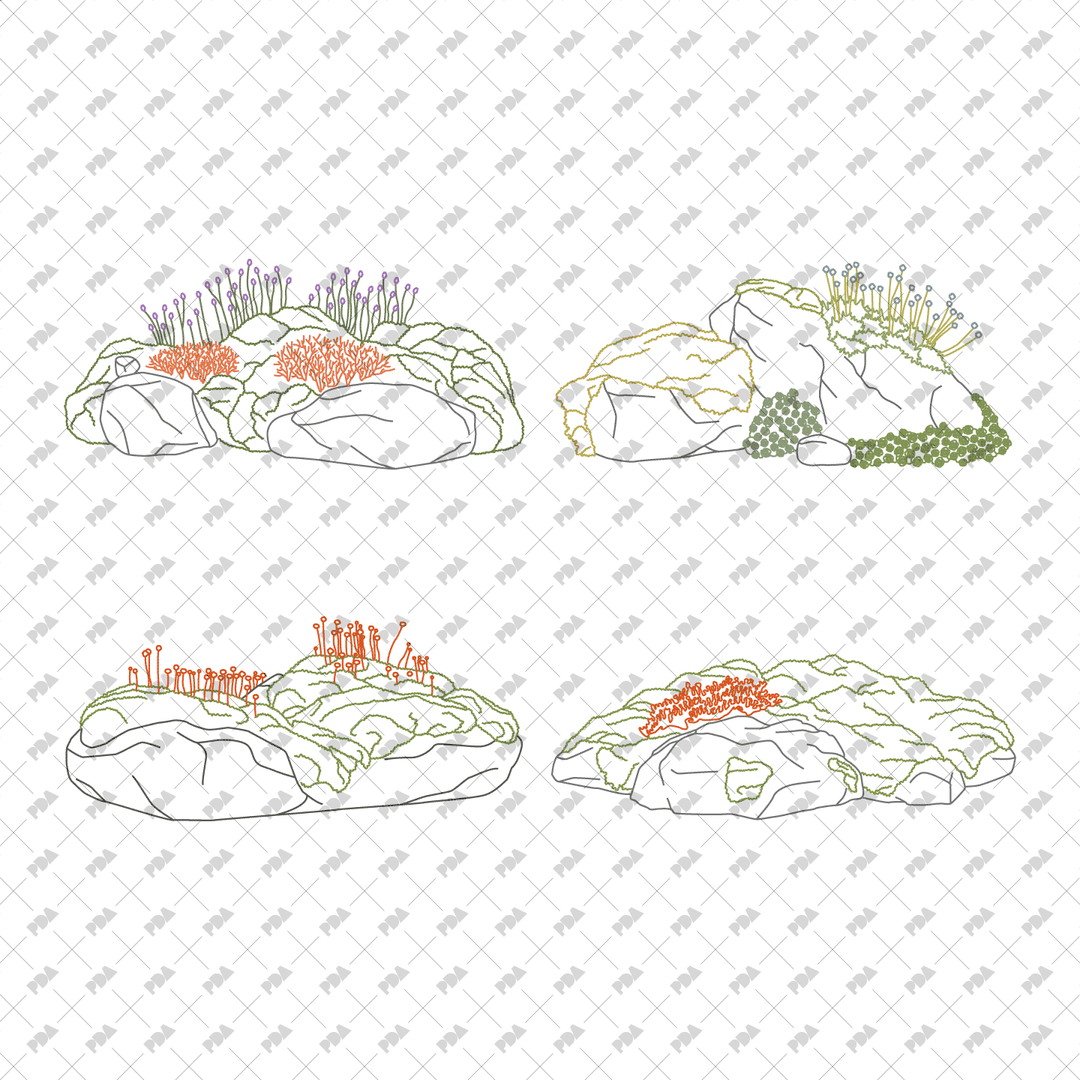 CAD, Vector, PNG Rockscapes in Color and B/W