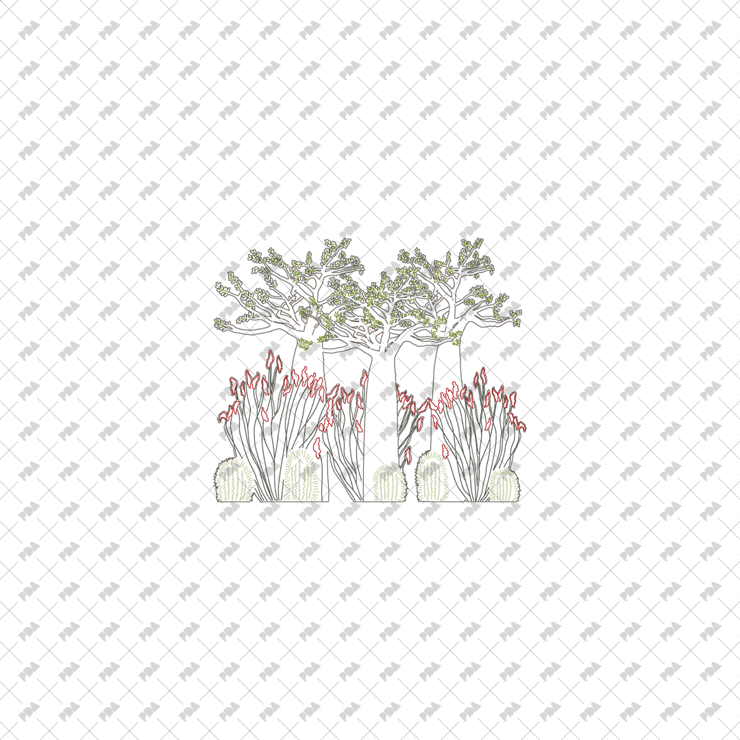 CAD, Vector Groves of Trees in Color and B/W