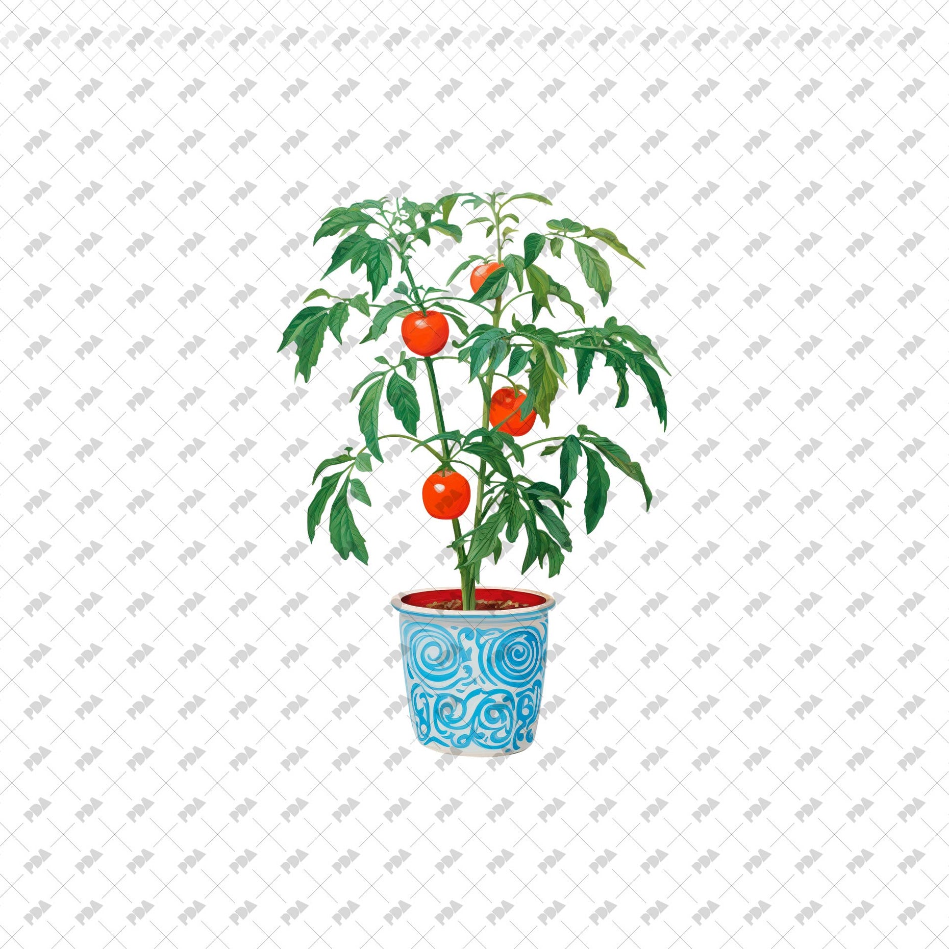 PNG Post Digital Collage Plants
