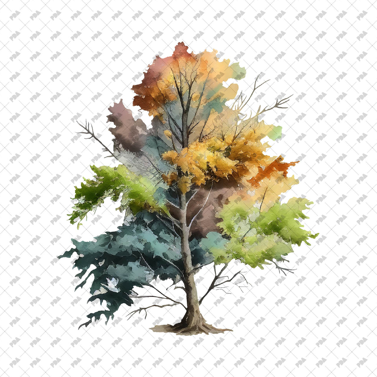 PNG Watercolor Trees and Plants Set (Front view)