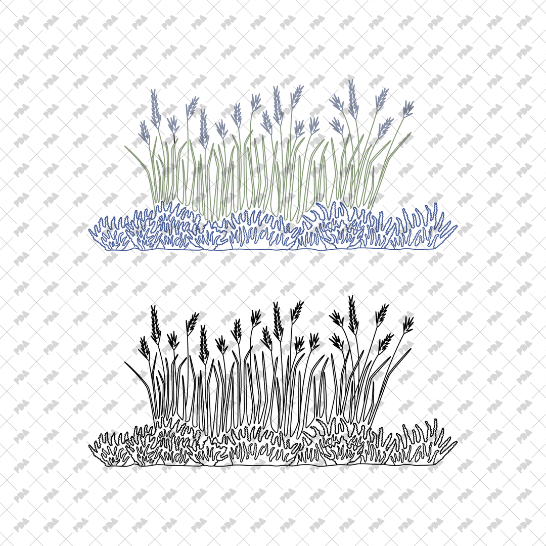 CAD, Vector Grass Beds in Color and B/W | Post Digital Architecture