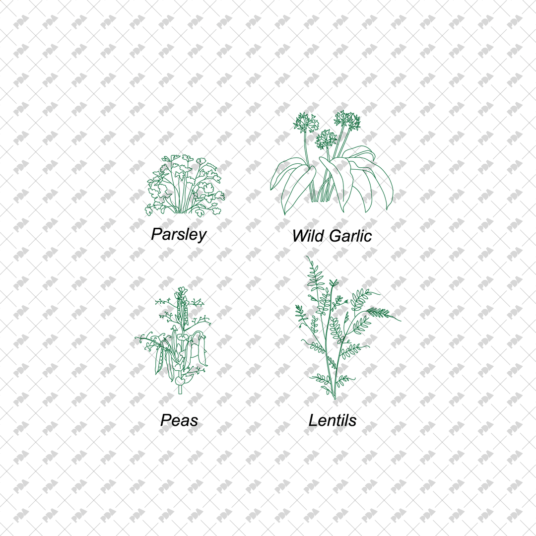 CAD Vector Vegetable Plants Multi-Pack