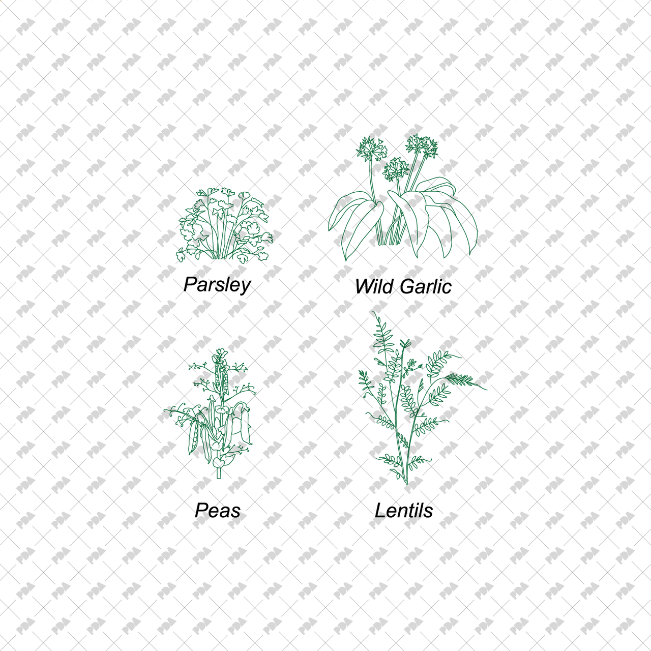 CAD Vector Vegetable Plants Multi-Pack – Post Digital Architecture