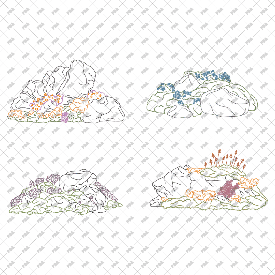 CAD, Vector, PNG Rockscapes in Color and B/W