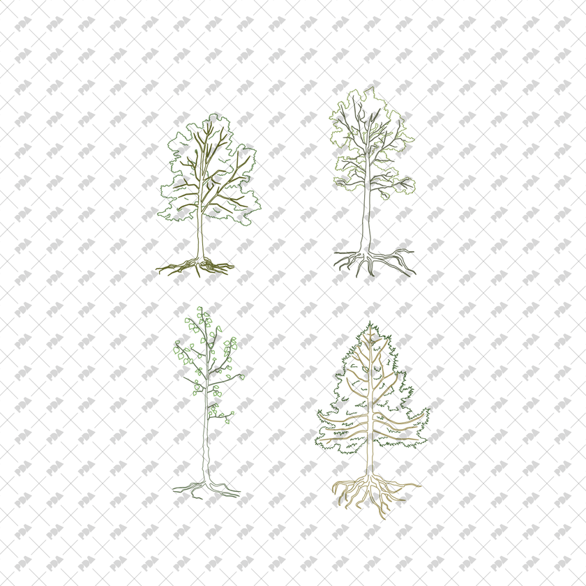CAD, Vector Trees with Roots in Color and B/W