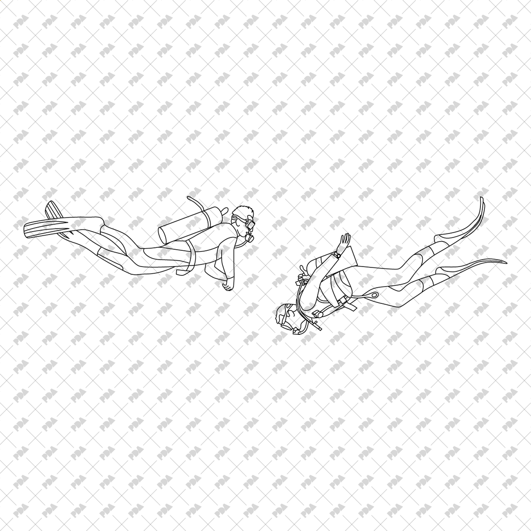 CAD, Vector Swimmers and Divers in Top, Side, Bottom Views