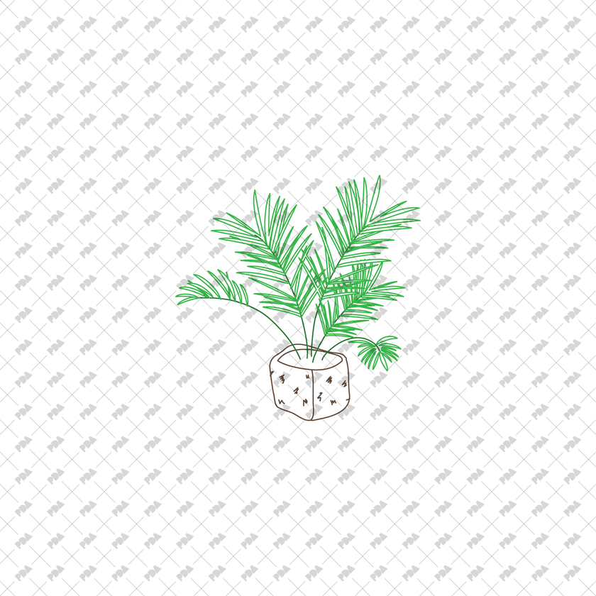 Cad、ベクター室内植物（カラー）