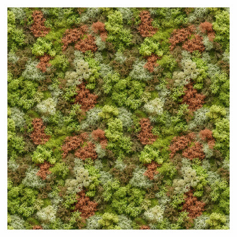 Bibliothèque de motifs - Textures de mousse sans couture