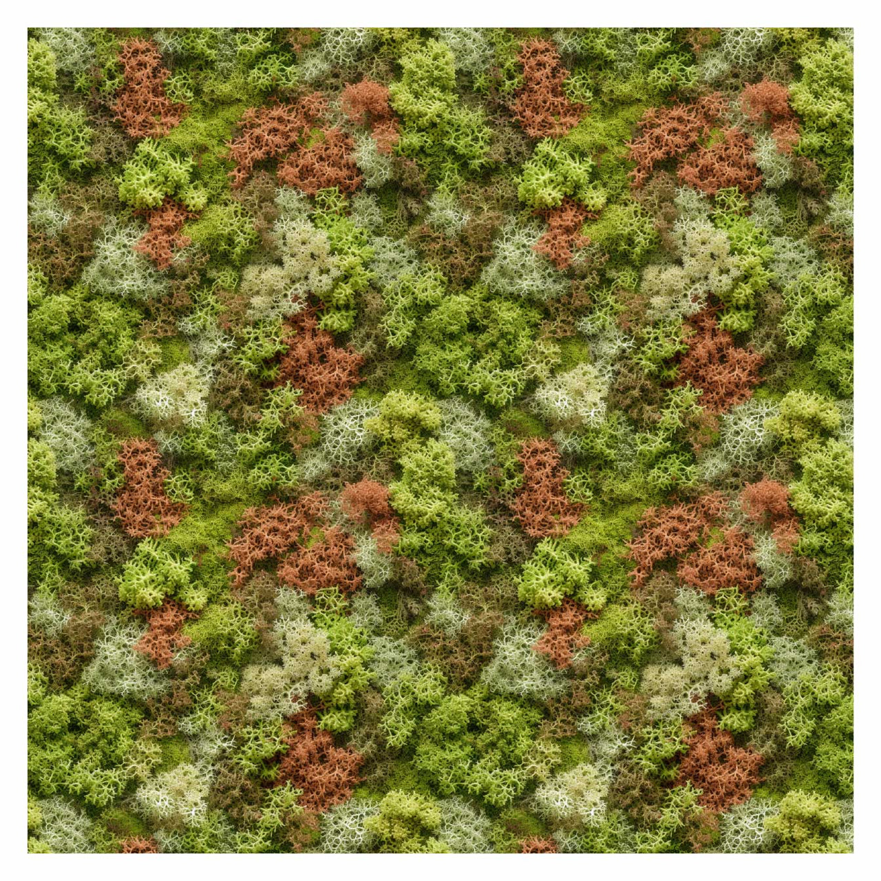 Pattern Library - Seamless Moss Textures